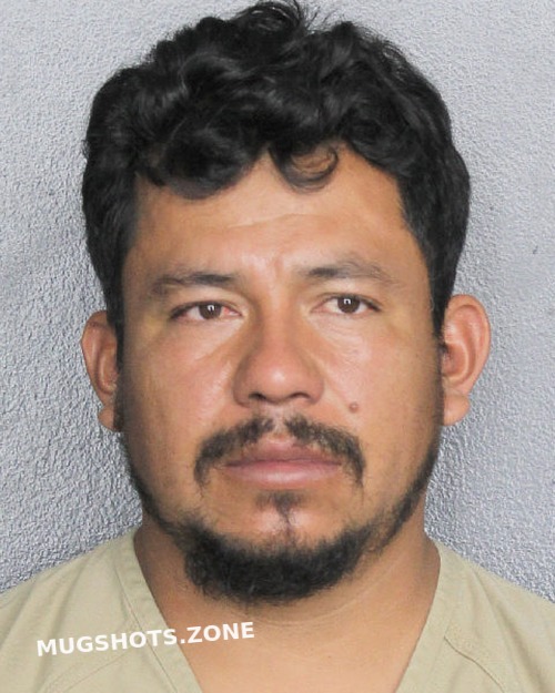 ANGEL ROBERTO 11/12/2022 - Broward County Mugshots Zone
