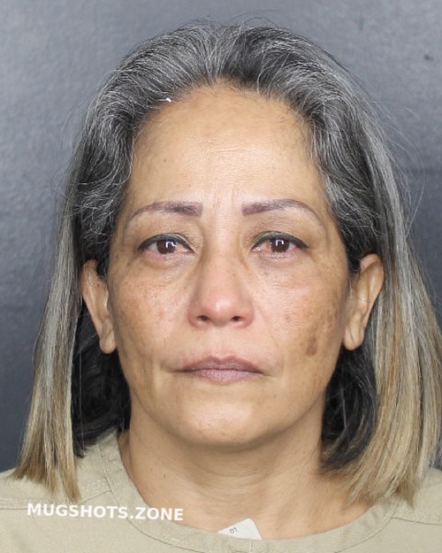 REINA CLAUDIA PATRICIA 01/07/2023 - Broward County Mugshots Zone