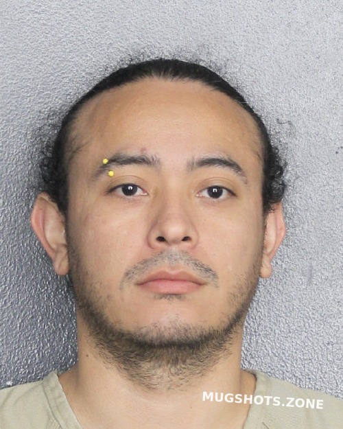 RAMIREZ HERMIDA DIEGO ROBERTO 02/04/2023 - Broward County Mugshots Zone