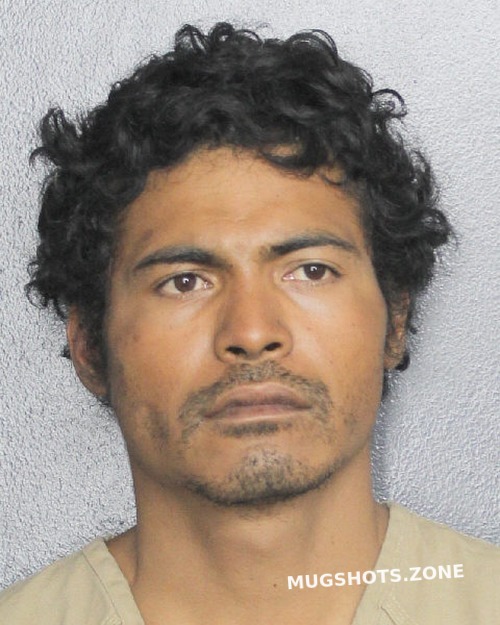 METTAO SYLVAN 03/21/2023 - Broward County Mugshots Zone