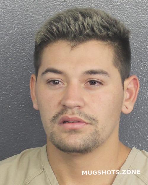 RIMA BRANDON DAVID 07/08/2023 - Broward County Mugshots Zone