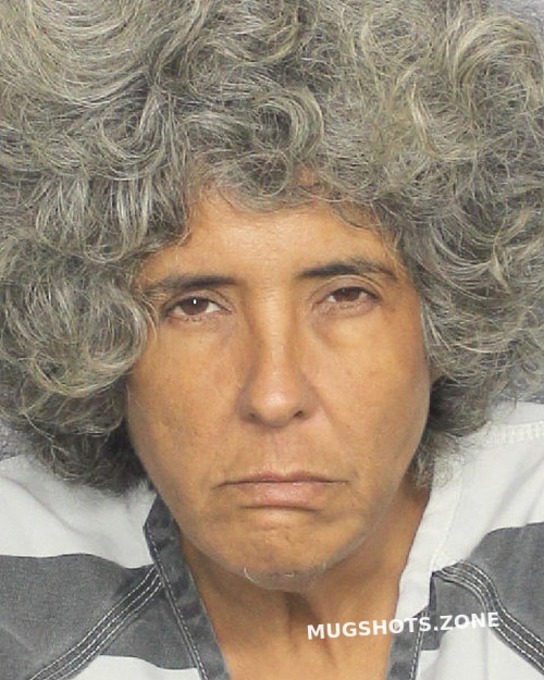 MENDOZA MARIA 07/17/2023 - Broward County Mugshots Zone MENDOZA MARIA 07/17/2023 - Broward County Mugshots Zone