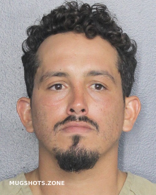 MAGLIOCCA GUNNAR SAGE 08/09/2023 - Broward County Mugshots Zone