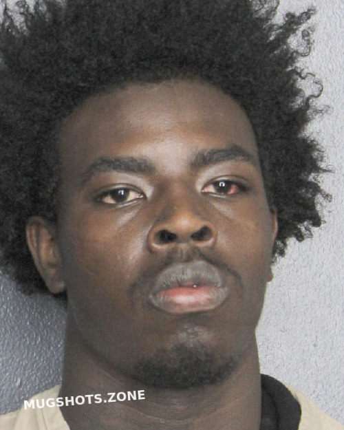 HOLLINS TYLER TYRONE 10/22/2023 - Broward County Mugshots Zone