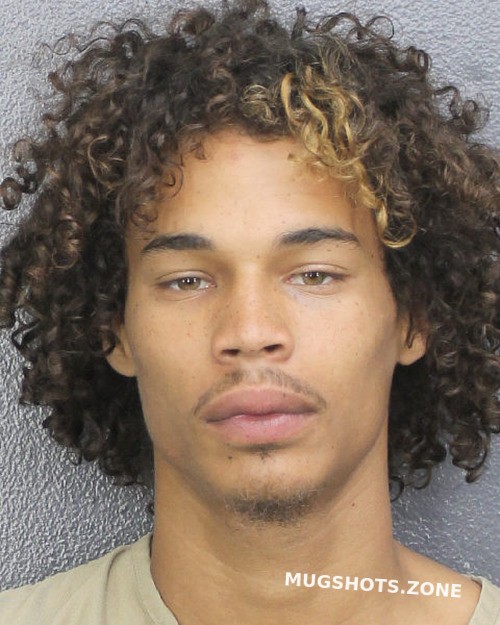 HAMILTON VINCENT MICHAEL 02/13/2024 - Broward County Mugshots Zone