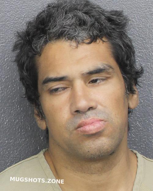 ROMAN JOHN MICHAEL 03/14/2024 - Broward County Mugshots Zone
