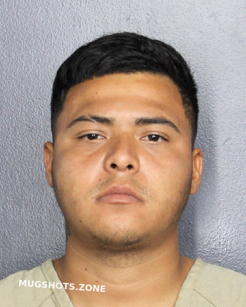 RAUDALES LAGUARDIA ERICK ALEJANDRO 03/24/2024 - Broward County Mugshots ...