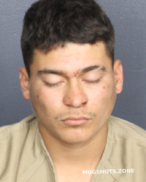 RODRIGUEZ MOLINA COCEPCION JESUS 04/21/2024 - Broward County Mugshots Zone