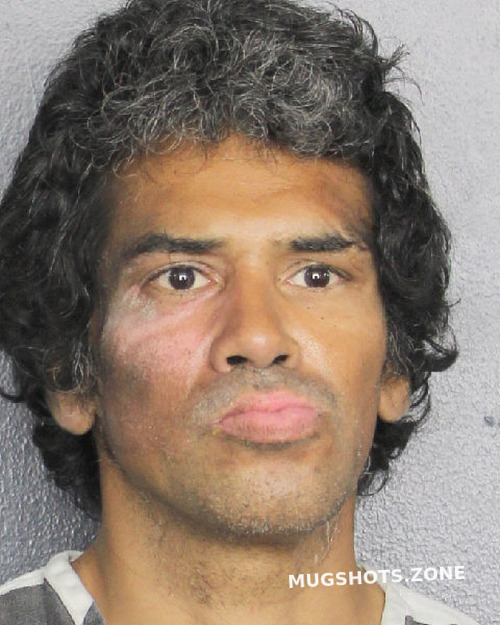 ROMAN JOHN MICHAEL 04/27/2024 - Broward County Mugshots Zone