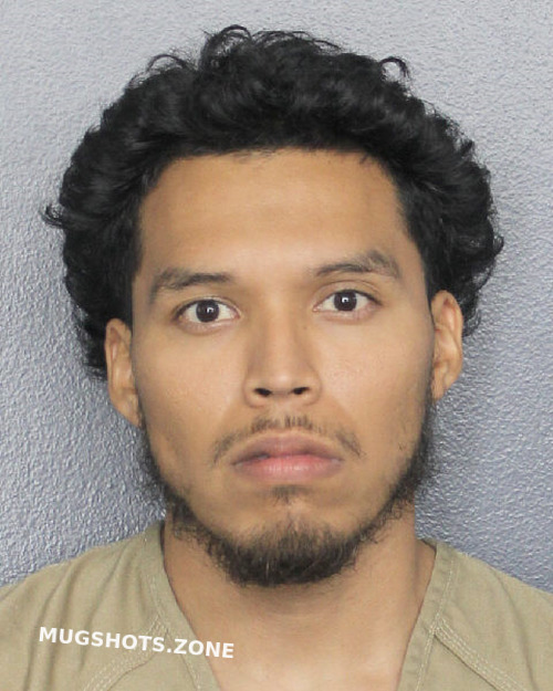 ANDRES JORGE 05/21/2024 - Broward County Mugshots Zone