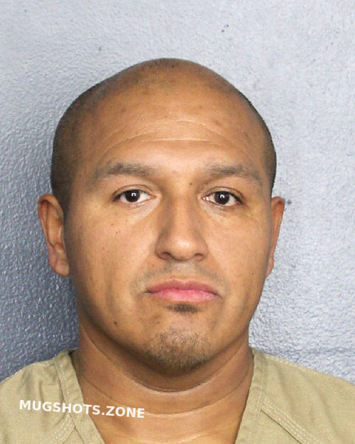 SZWABO FORBIS MARCO WESLEY MARTIN 05/30/2024 - Broward County Mugshots Zone