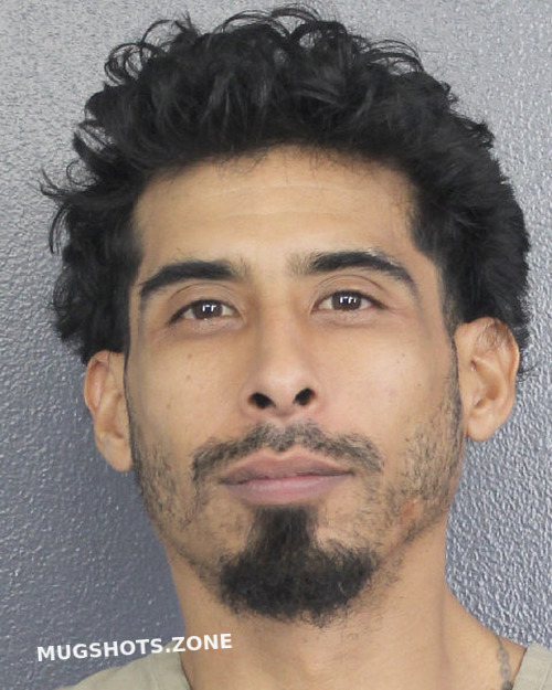 CALDERON STEVEN 06/20/2024 - Broward County Mugshots Zone