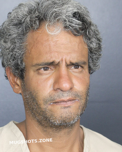 SOTO EDWIN ANDRES 06/25/2024 - Broward County Mugshots Zone