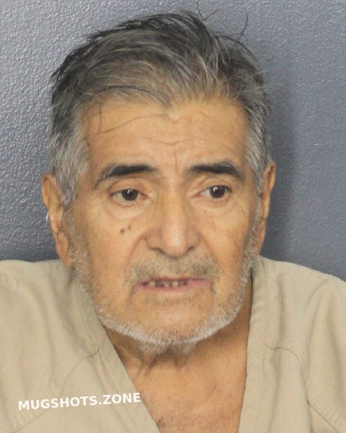 ALZAMENDI ROBERTO DANIEL 07/24/2024 - Broward County Mugshots Zone
