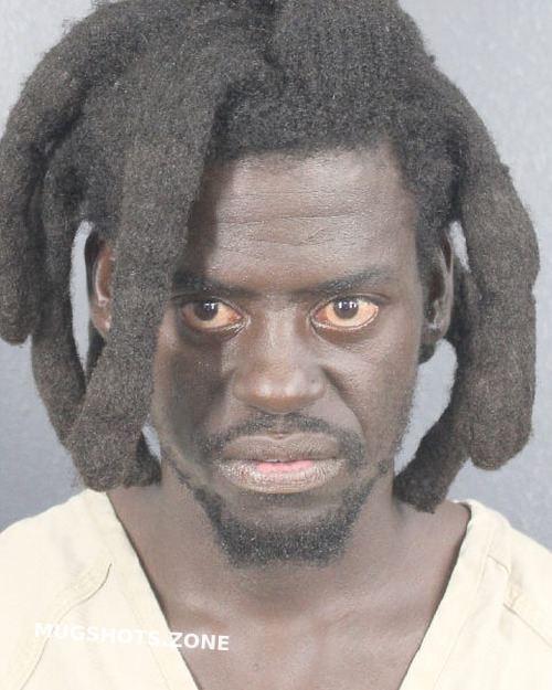 JOSEPH PATRICK STEPHEN 08/15/2024 - Broward County Mugshots Zone