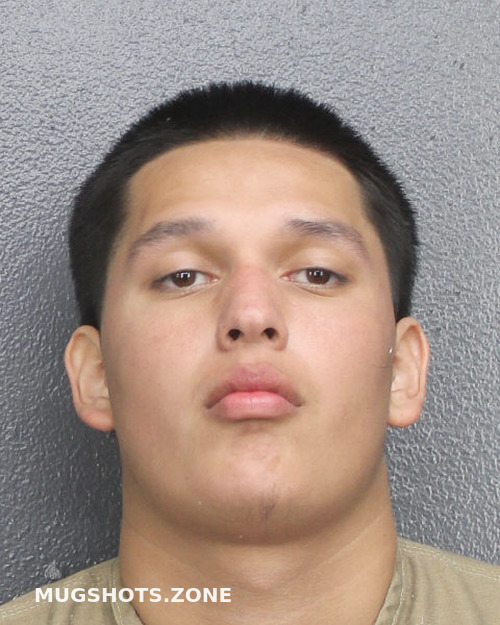 NELSON DAVID 09/26/2024 - Broward County Mugshots Zone