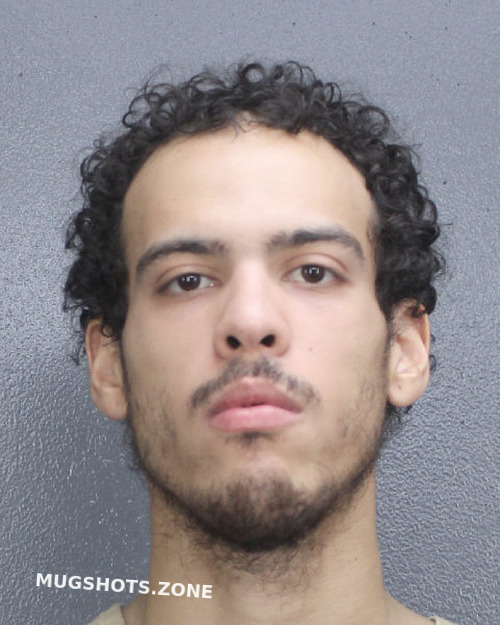 BROWN MATTHEW ADAM 10/06/2024 - Broward County Mugshots Zone