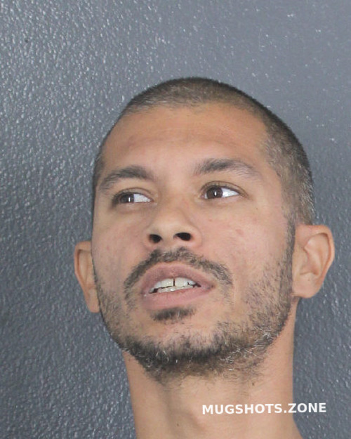 DESILVA CHRISTOPHER BASIL 10/21/2024 - Broward County Mugshots Zone