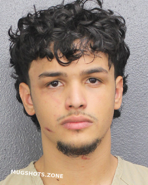 LOPEZ KALDER TORRIJO ERICK JONATHAN 10/30/2024 - Broward County ...