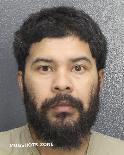 ALMENDAREZ ANDY 11/13/2024 - Broward County Mugshots Zone