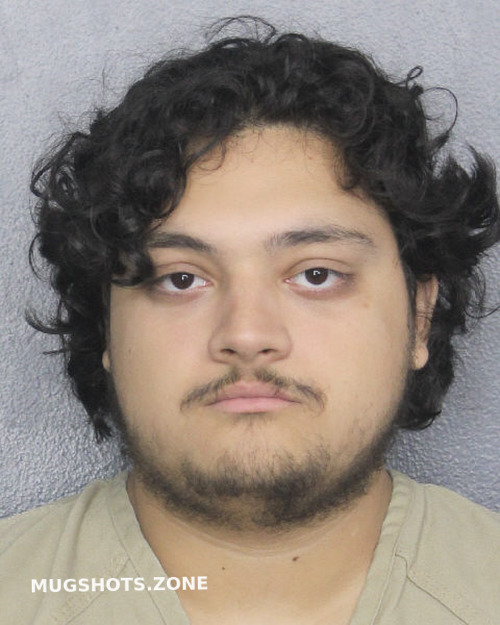 ARRIGONI BRANDON 11/15/2024 - Broward County Mugshots Zone