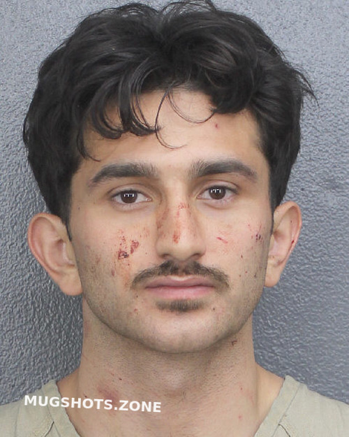 DEMIREL BERK CAN 12/01/2024 - Broward County Mugshots Zone