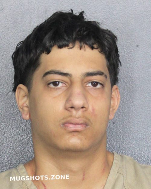 MALAVE JAN ANTHONY ANTHONY 12/03/2024 - Broward County Mugshots Zone