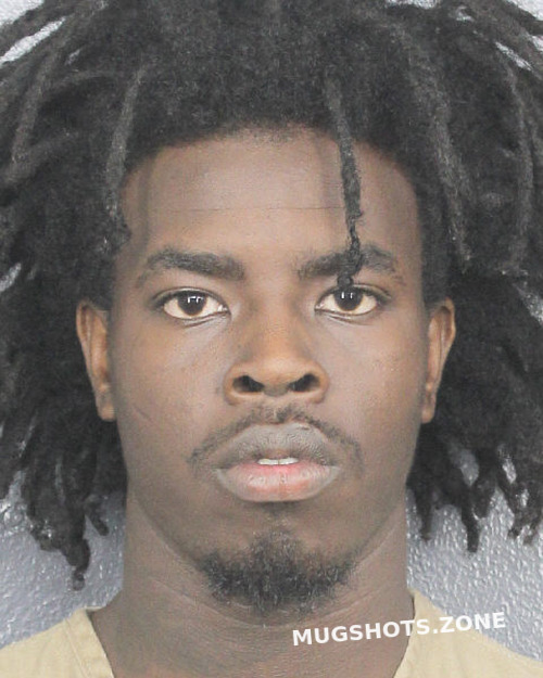 HOLLINS TYLER TYRONE 12/30/2024 - Broward County Mugshots Zone