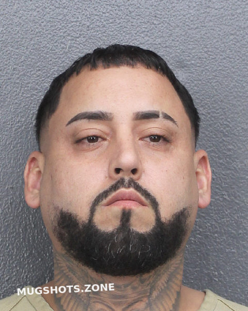 PUPO WILLAN 01/01/2025 - Broward County Mugshots Zone
