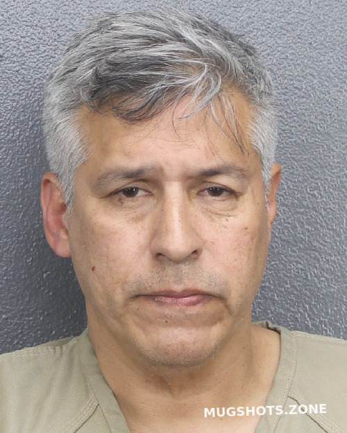 MOLA ALEXANDER 01/01/2025 - Broward County Mugshots Zone