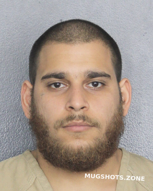 COSTA ALLEXANDER DOMINGO 01/06/2025 - Broward County Mugshots Zone
