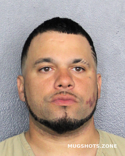 HOAG SHANE THOMAS 01/07/2025 - Broward County Mugshots Zone