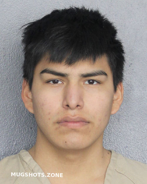 GRAHAM RYDER-LEE 01/08/2025 - Broward County Mugshots Zone