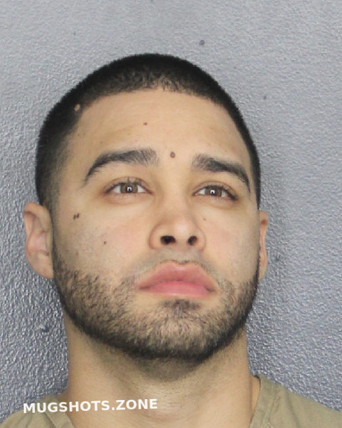 CEPEDA DOMINIQUE MIGUEL 01/14/2025 - Broward County Mugshots Zone