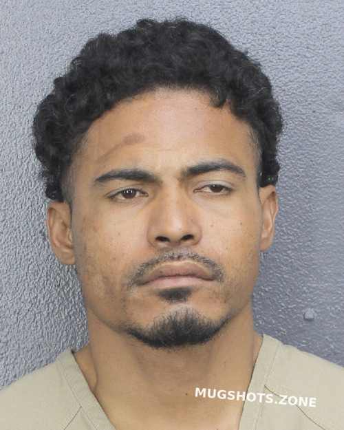 METTAO SYLVAN LEONARD 01/20/2025 - Broward County Mugshots Zone