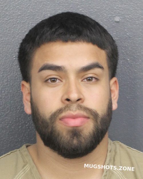 WHITE JOHAN ELIAN 02/12/2025 - Broward County Mugshots Zone