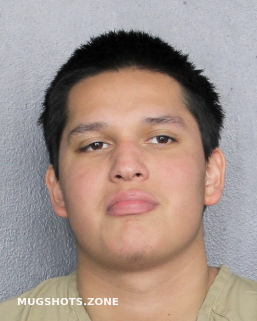 NELSON DAVID 02/13/2025 - Broward County Mugshots Zone