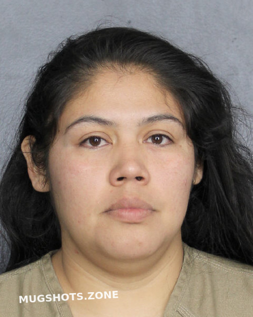 PEREZ RAMIREZ MICHEL 02/14/2025 - Broward County Mugshots Zone