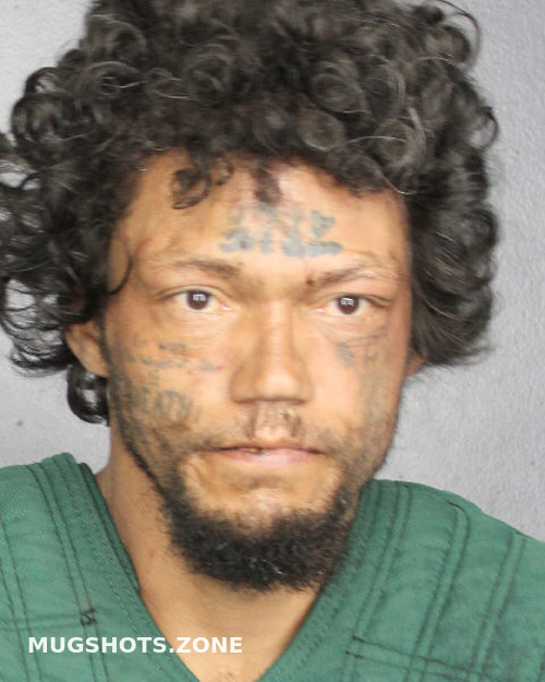 IRELAND JOHN MARSHALL 02/25/2025 - Broward County Mugshots Zone