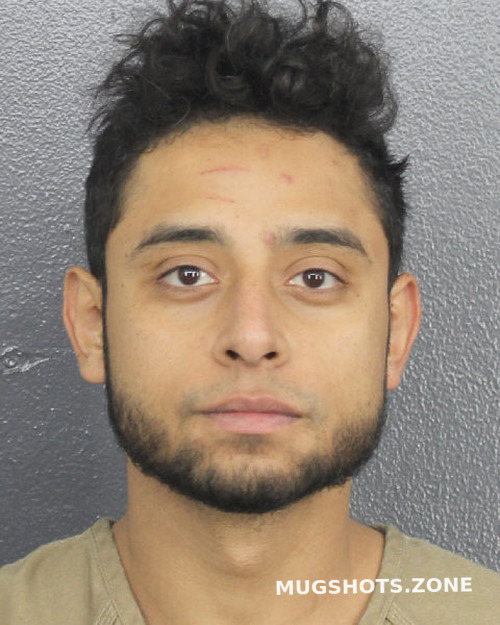 SASSINE REYES DAVID NICOLAS 02/26/2025 - Broward County Mugshots Zone