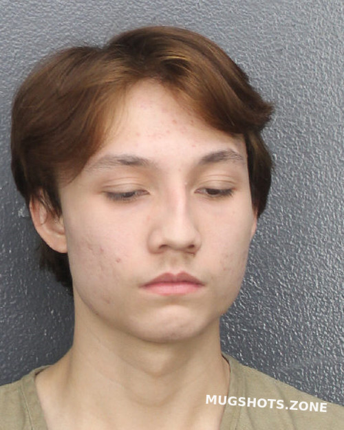 BROZOWSKI BRAYDEN ANTHONY 02/27/2025 - Broward County Mugshots Zone