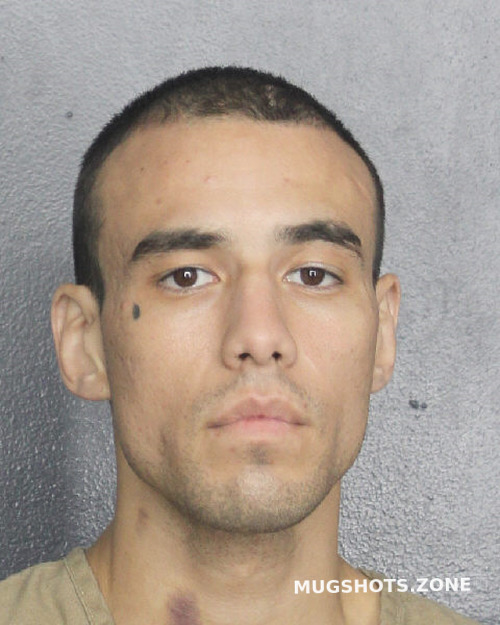 OBREGON ALEXANDER 03/25/2025 - Broward County Mugshots Zone