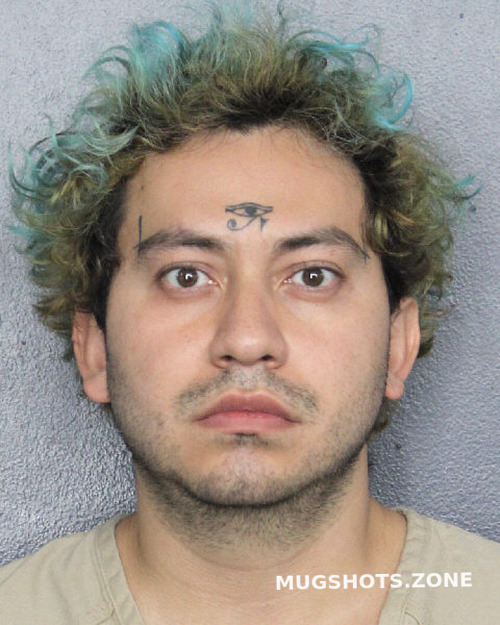 ROLDAN BARRETO DANIEL SANTIAGO 04/01/2025 - Broward County Mugshots Zone