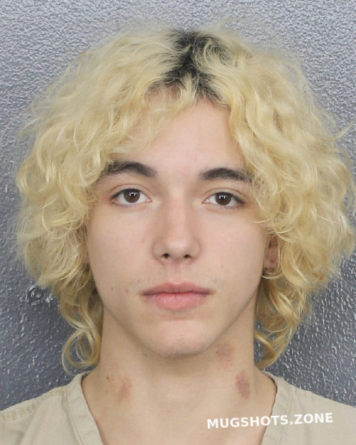 DUARTE MATTHEW ALEXANDER 04/02/2025 - Broward County Mugshots Zone