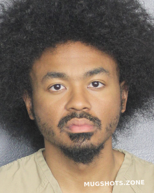 PATTERSON XIAO-XIN DAVID 04/03/2025 - Broward County Mugshots Zone