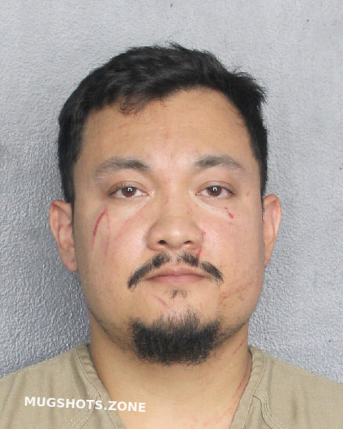 JOHNSTON DAVID MICHAEL 04/14/2025 - Broward County Mugshots Zone