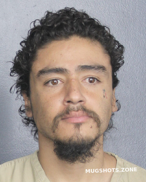 ARENAS ESTEBAN 04/16/2025 - Broward County Mugshots Zone