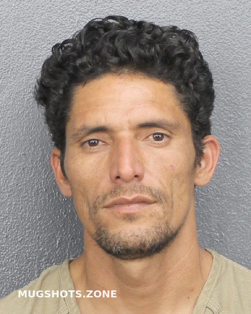 RIVAS ALVARES DAVID 04/17/2025 - Broward County Mugshots Zone
