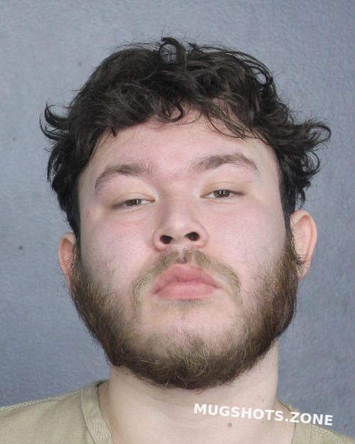 DAVIS ALEXANDER 04/17/2025 - Broward County Mugshots Zone