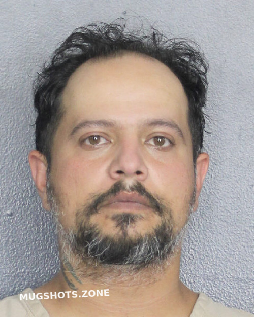 JOHNSON RICKY 04/24/2025 - Broward County Mugshots Zone